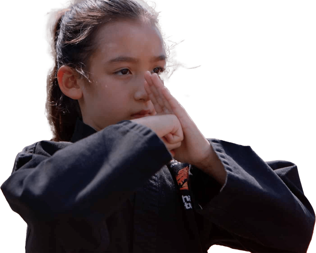 Learn Martial Arts - SDSS Martial Arts of Keene